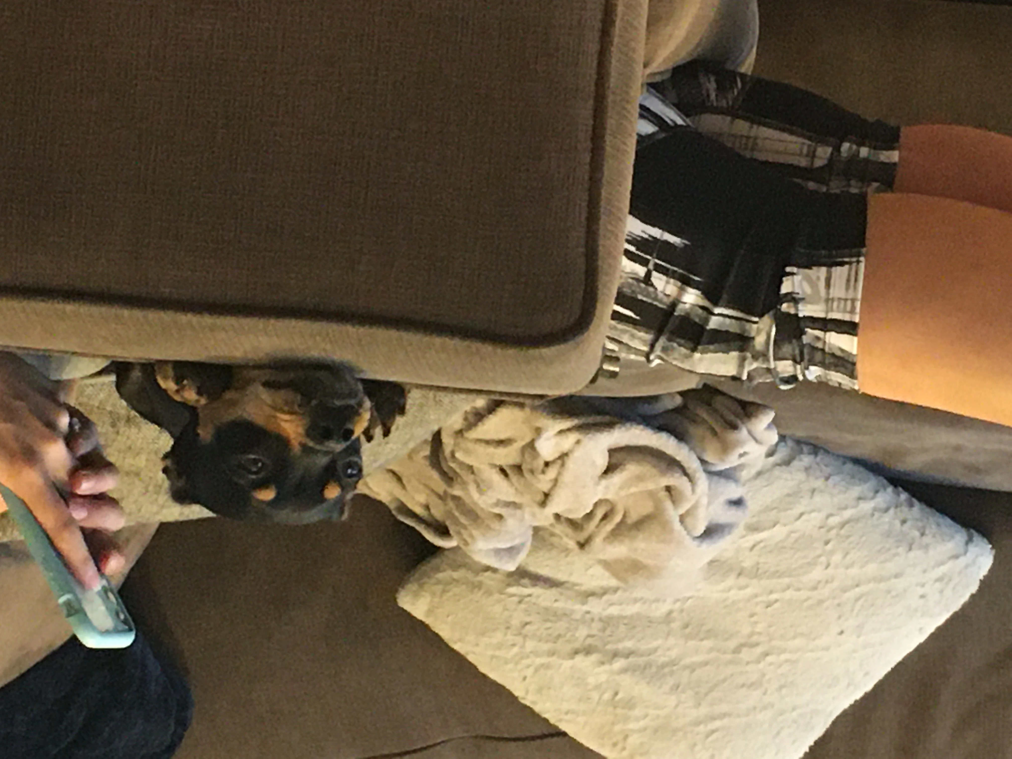 Why do I feel like this is Turtle when he is being T O U C H E D | Fandom