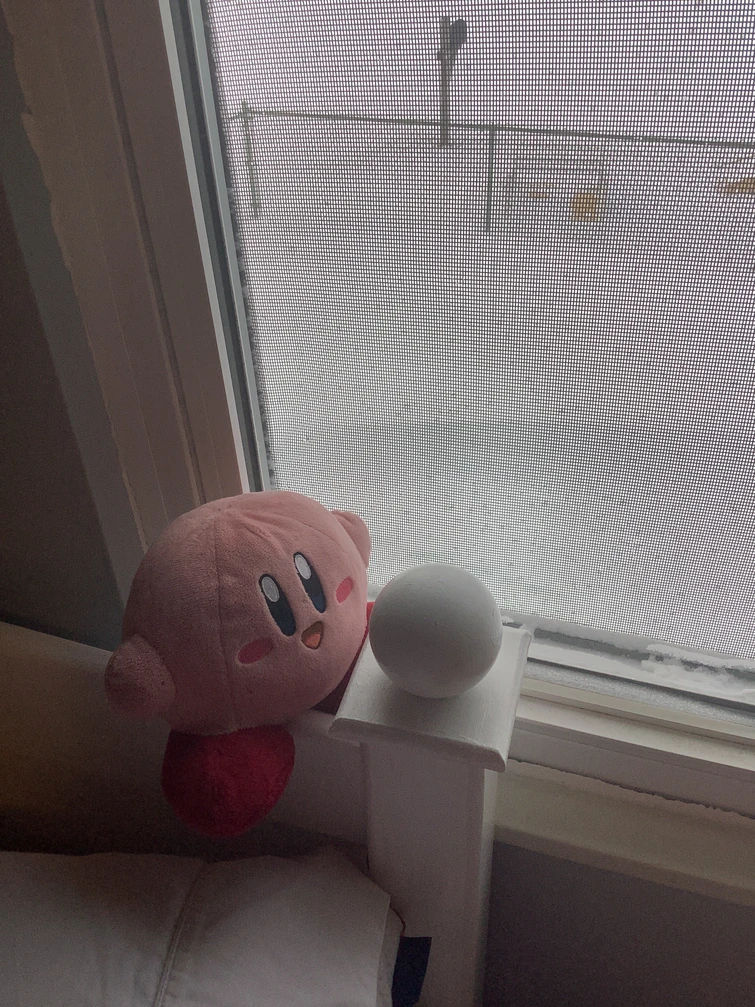 Kirby looking at the snow in the window | Fandom