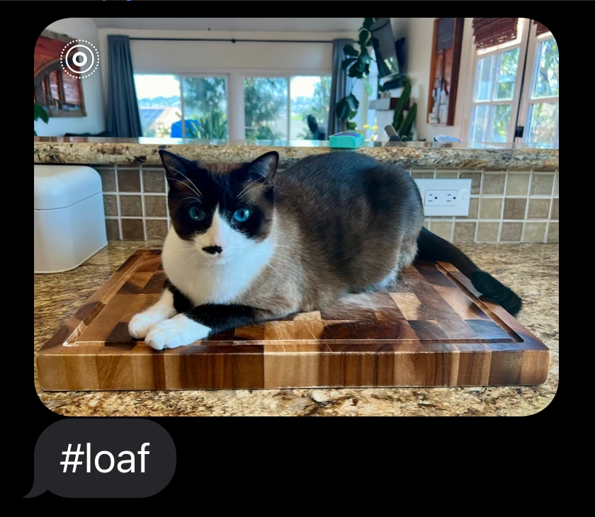 give me pfp ideas /nf | Fandom