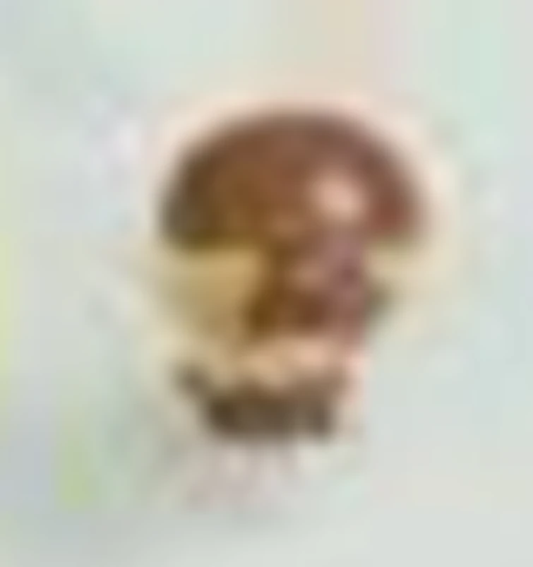 ONE MORE LEFT WE NEVER SEEN CHOCOPING! | Fandom