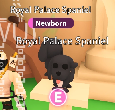 traded sunrise duck for this thing but well happy values right? | Fandom