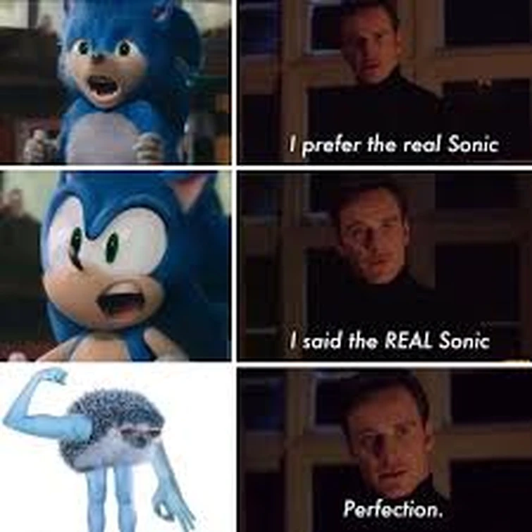 Sonic Memes 6 | Fandom
