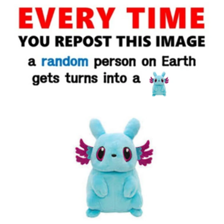 The rain world curse | Fandom