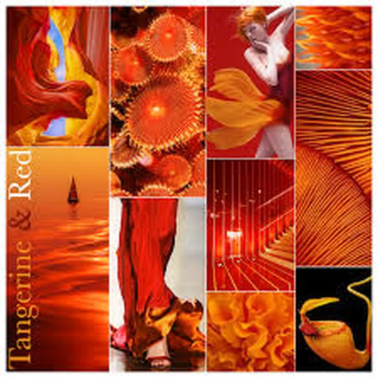 SKIN CONTEST | Fandom