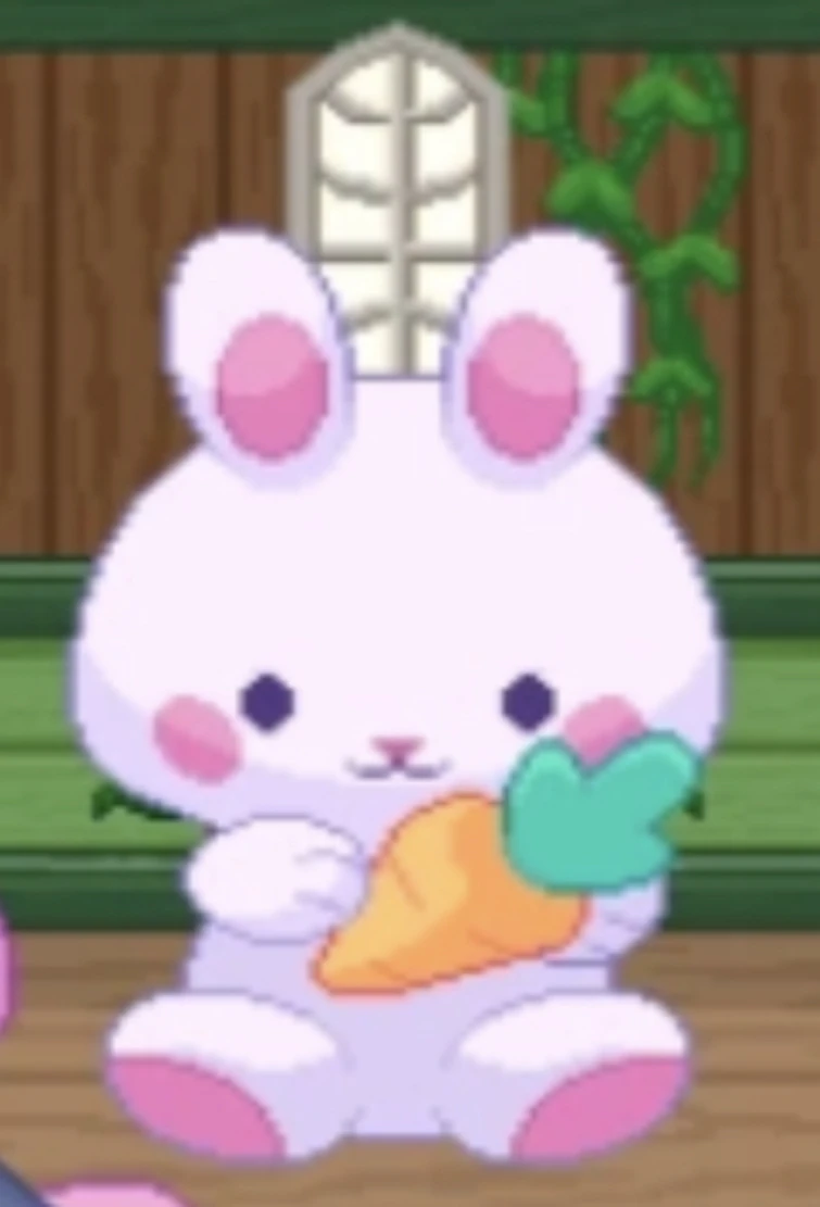 Random bunny photos (Inspired by Boreal warden) | Fandom