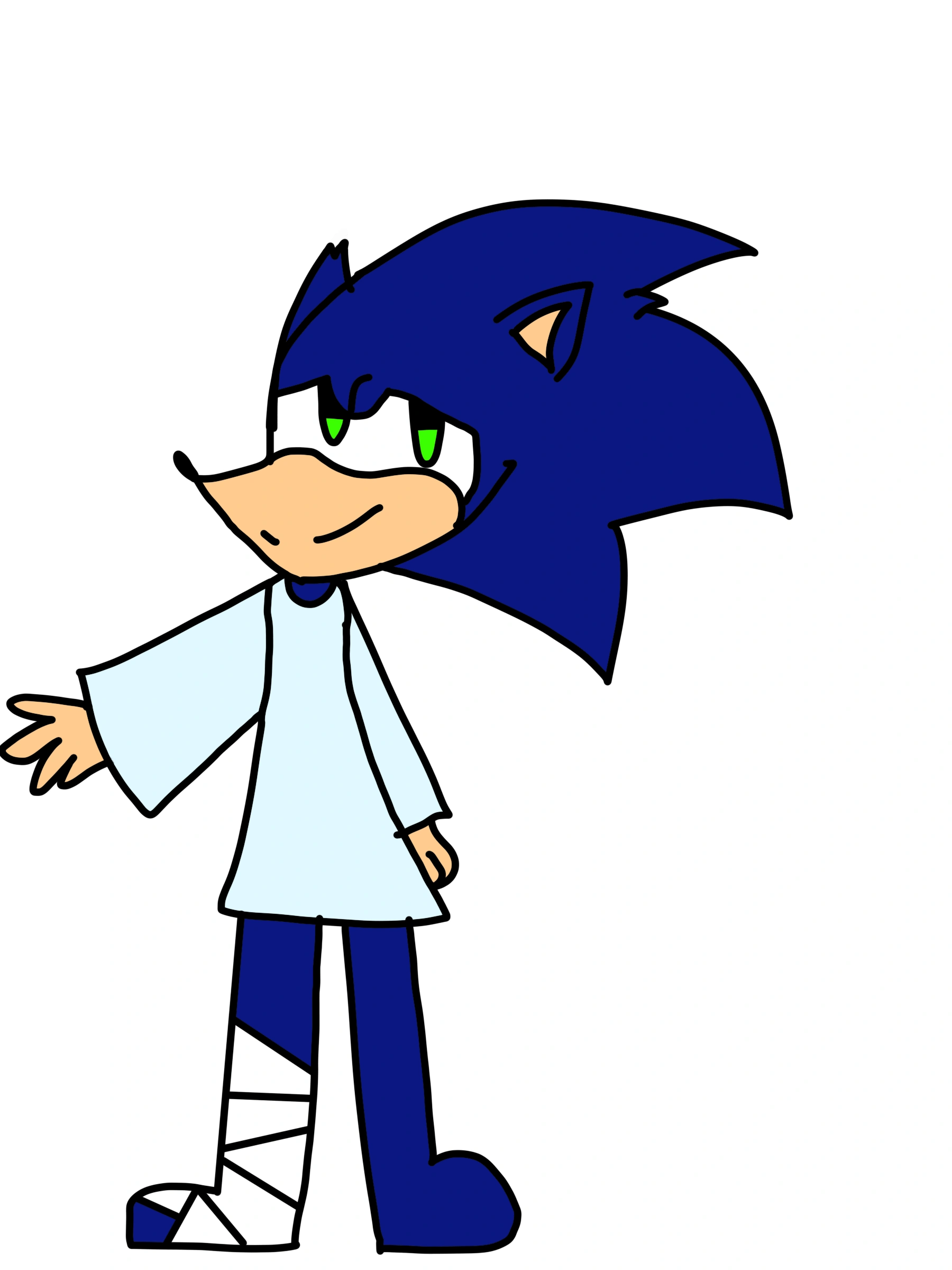 Amy.RAR’s characters part 1 | Fandom