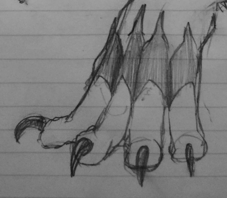 How do you draw claws/paws | Fandom