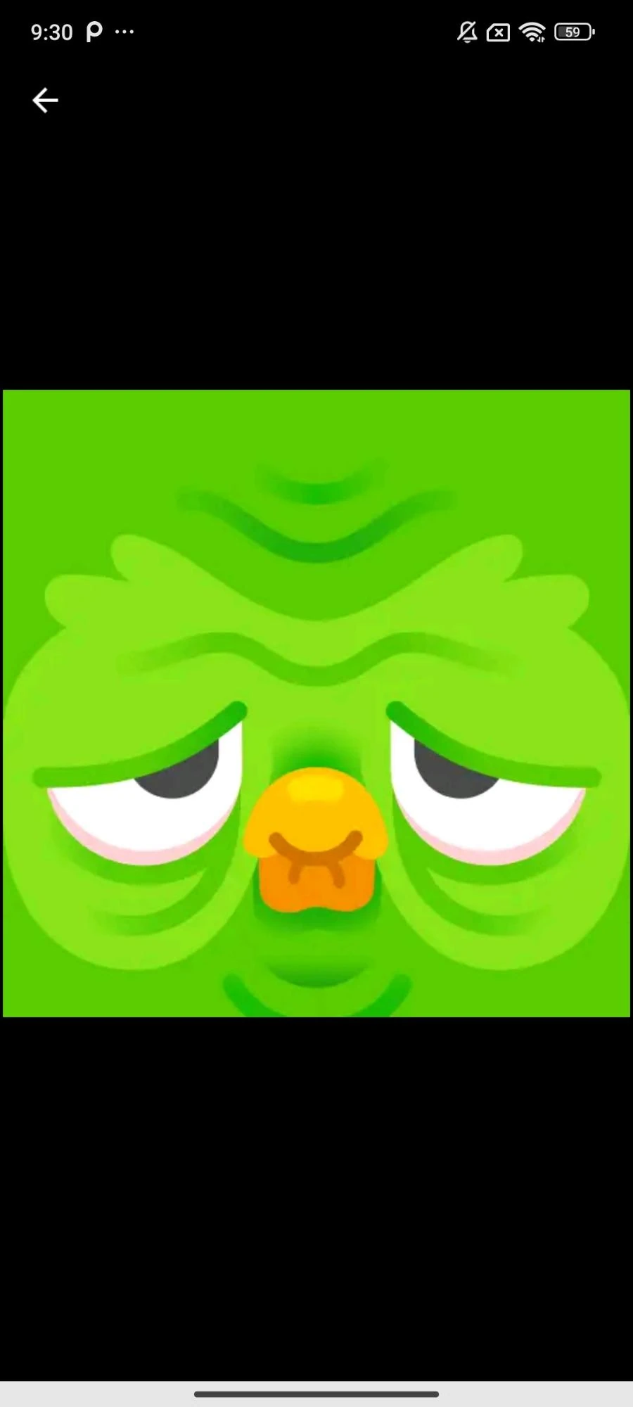 What happened to Duo? | Fandom