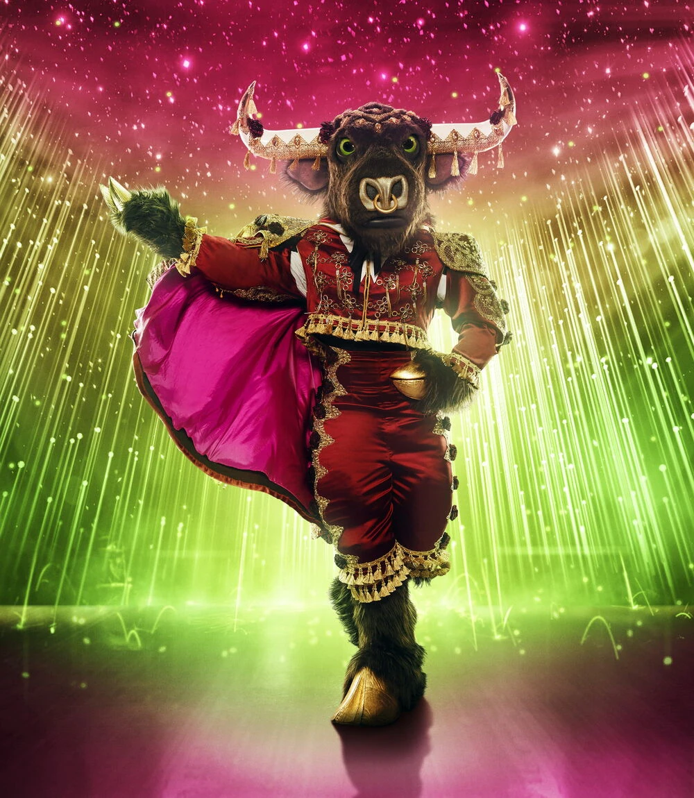 The Masked Singer Fanmade Season 1 Reveal (The Wildcards!) | Fandom