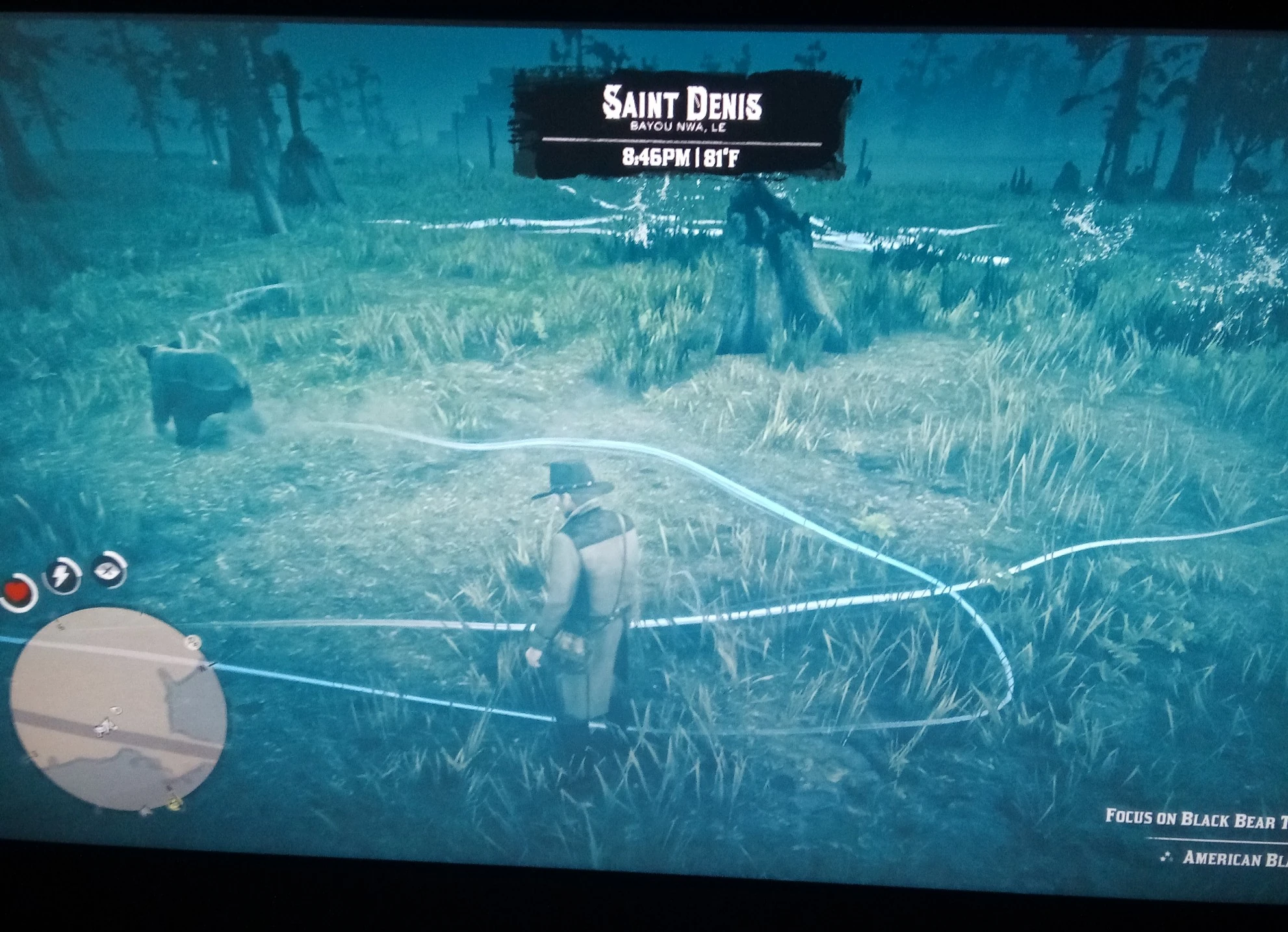 American Black Bear Spawn In Bayou Outside Saint Denis | Fandom