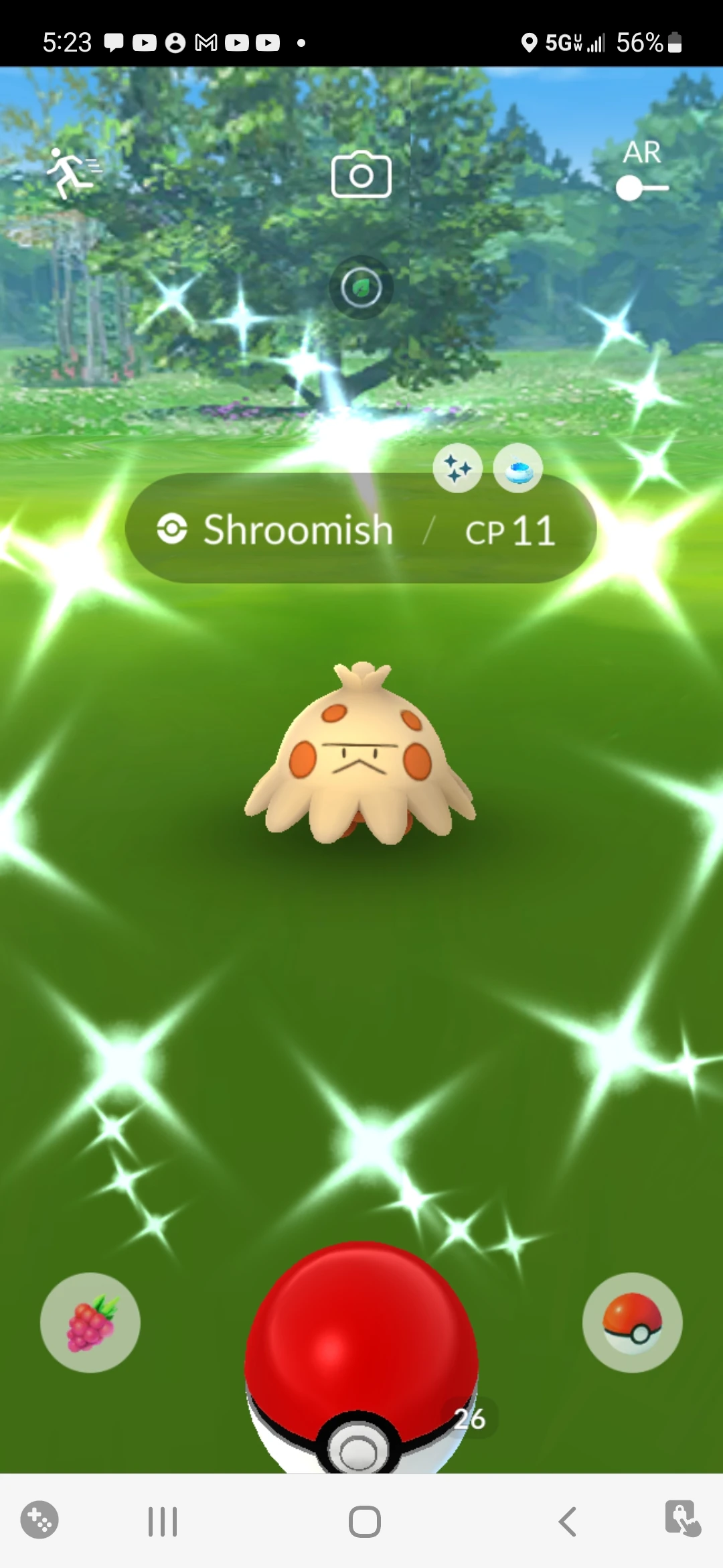 Level 1 Shiny Shroomish from Daily Adventure Incense! | Fandom