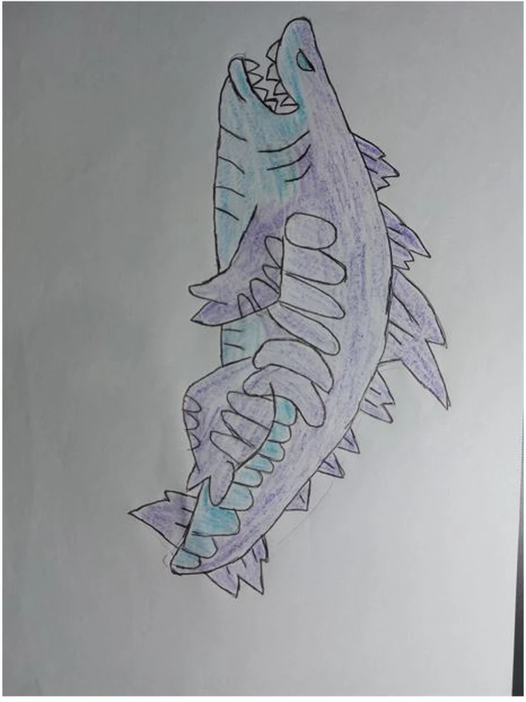 My drawing of sharkjira | Fandom
