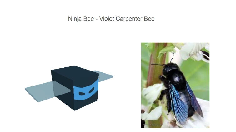 BSS Bees and their irl counterparts! Legendaries :) | Fandom