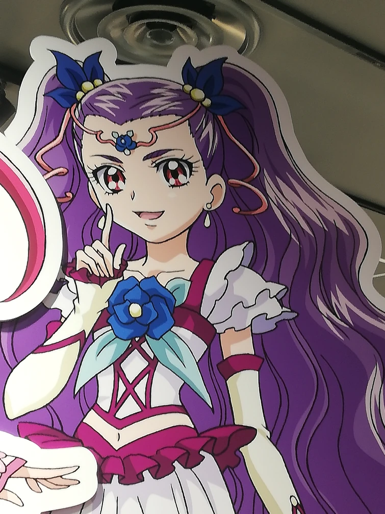 Yes! Pretty Cure 5 GoGo! Members' stands set in Pretty Store Shibuya today! | Fandom