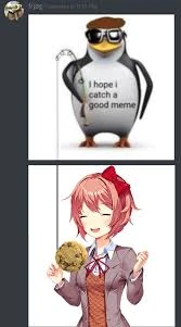 hope i catch a good meme | Fandom