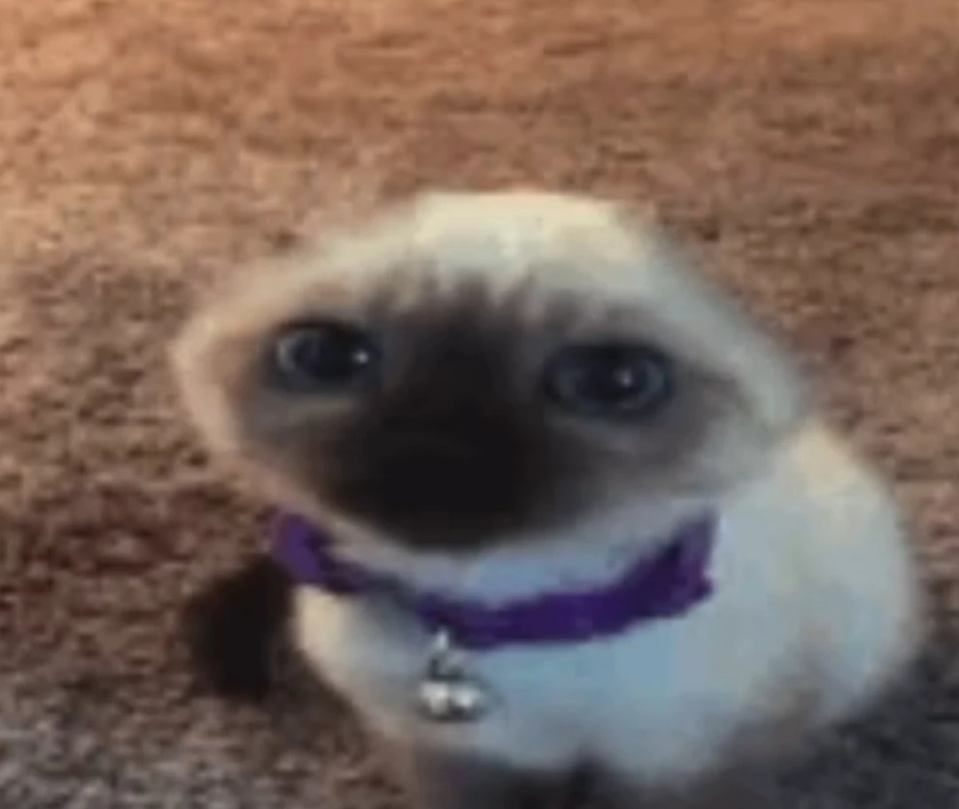 me genuinely tweaking after I realized I’ve lost a solid 20mil by trading off my errors too ...