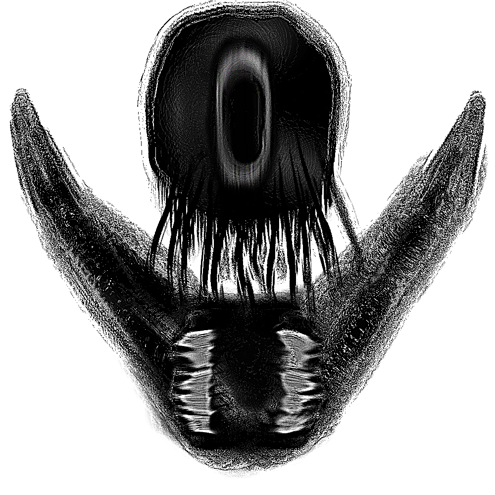 Unsharp'd entity | Fandom