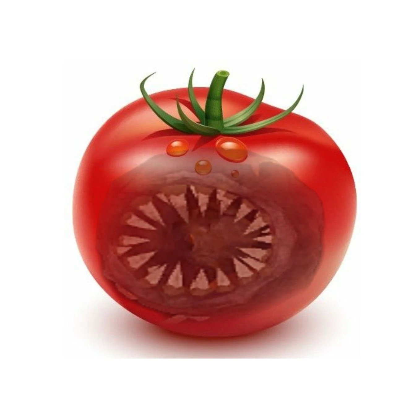 Tomato | Fandom