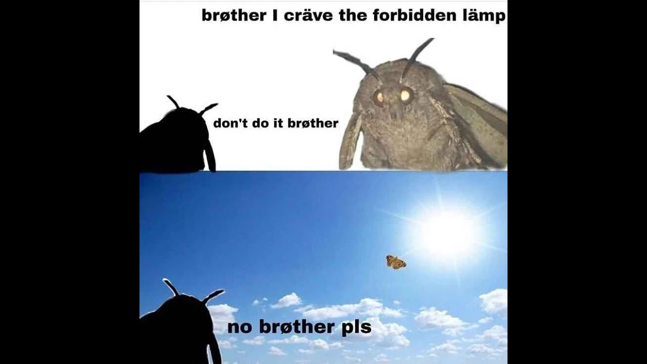 Crave not the forbidden lamp! | Fandom