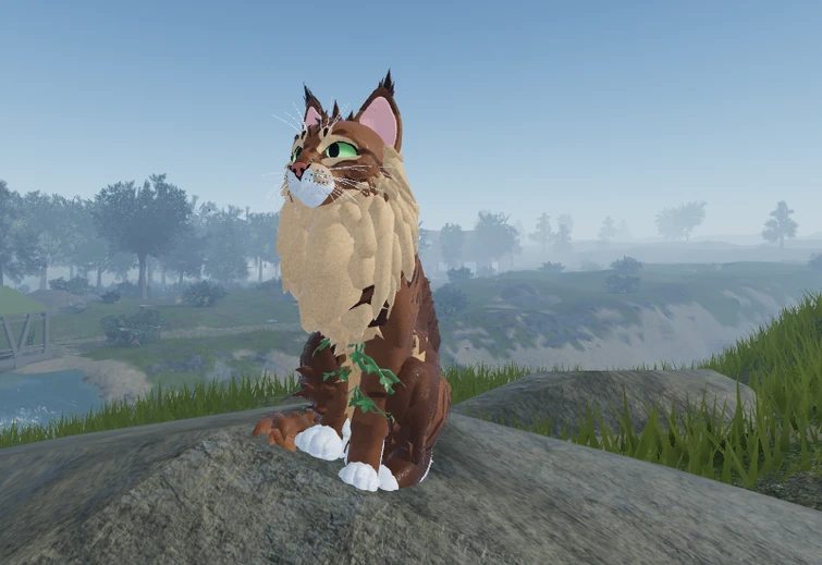 I made some morphs based on cat breeds :) | Fandom