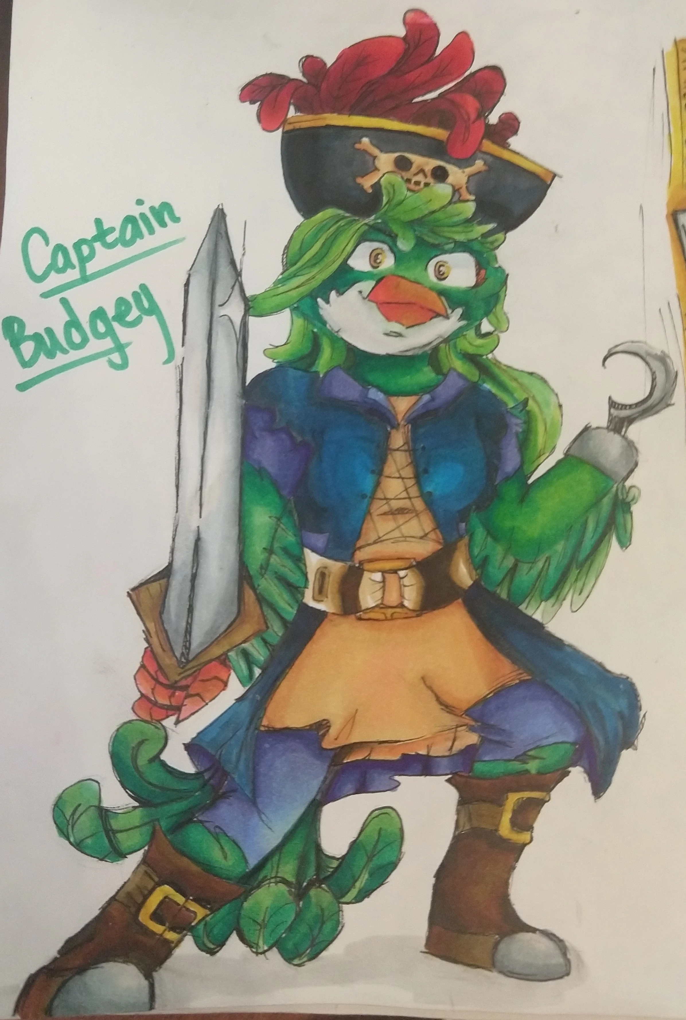 Captain Budgey | Fandom