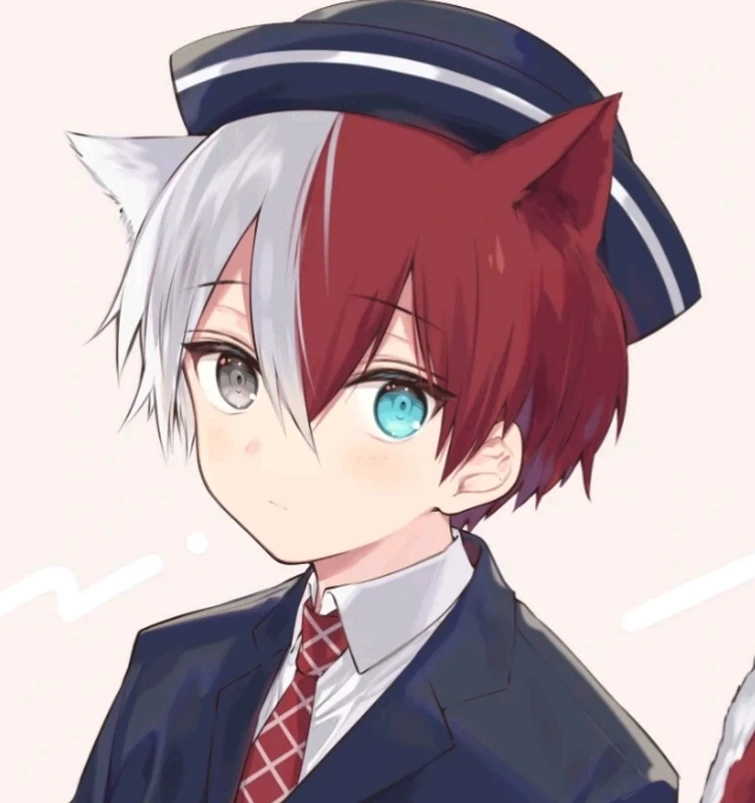 Todoroki fanart | Fandom