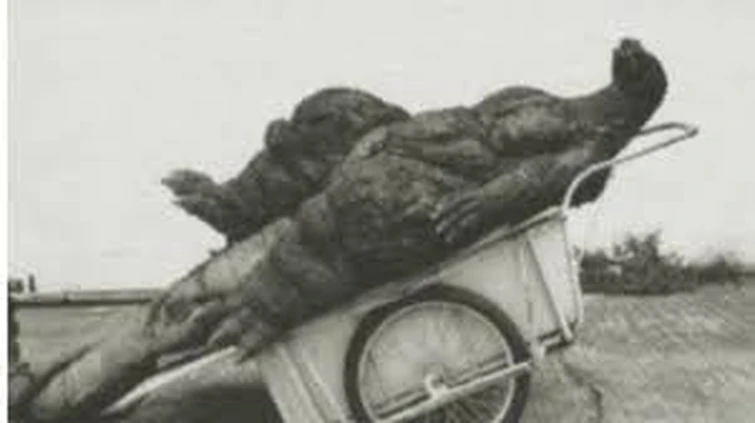 Drakobloxxer | Fandom