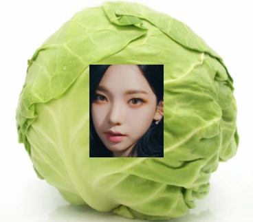 Oh my gosh..don't you know I'm a cabbage? | Fandom