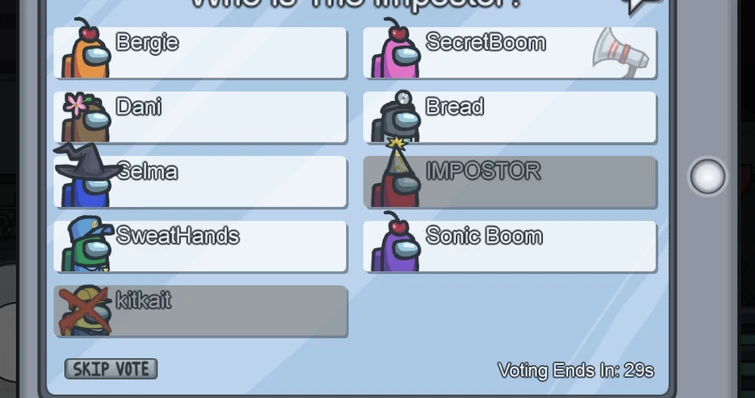 my Among Us avatar,based off of Sonic Boom | Fandom