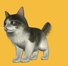 Petz: Catz 2 Cat Breeds Guide | @LeopardYiu's Storage Wiki | Fandom