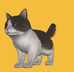 Petz: Catz 2 Cat Breeds Guide | @LeopardYiu's Storage Wiki | Fandom