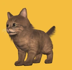 Petz: Catz 2 Cat Breeds Guide | @LeopardYiu's Storage Wiki | Fandom