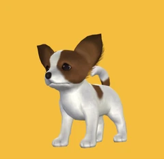 Petz: Dogz 2 Dog Breeds Guide | @LeopardYiu's Storage Wiki | Fandom