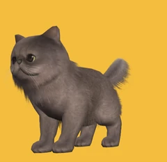 Petz: Catz 2 Cat Breeds Guide | @LeopardYiu's Storage Wiki | Fandom