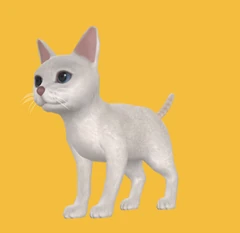 Petz: Catz 2 Cat Breeds Guide | @LeopardYiu's Storage Wiki | Fandom
