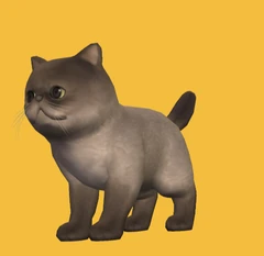 Petz: Catz 2 Cat Breeds Guide | @LeopardYiu's Storage Wiki | Fandom