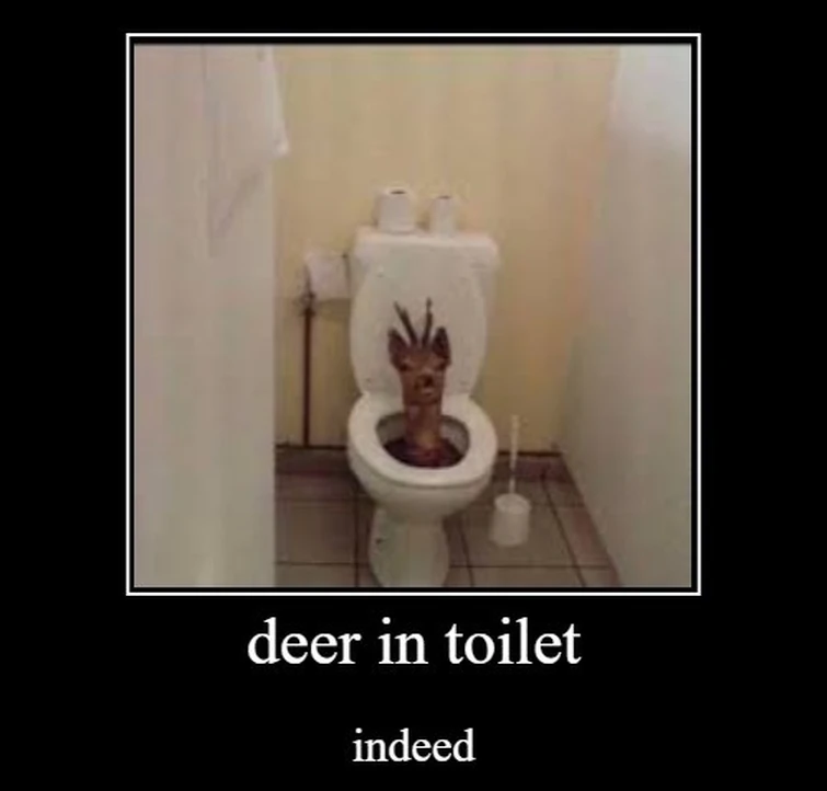 Skibideer toilet | Fandom