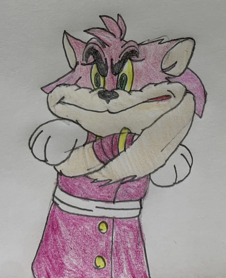 Sonic Boom (Tom and Jerry Edition) | Fandom