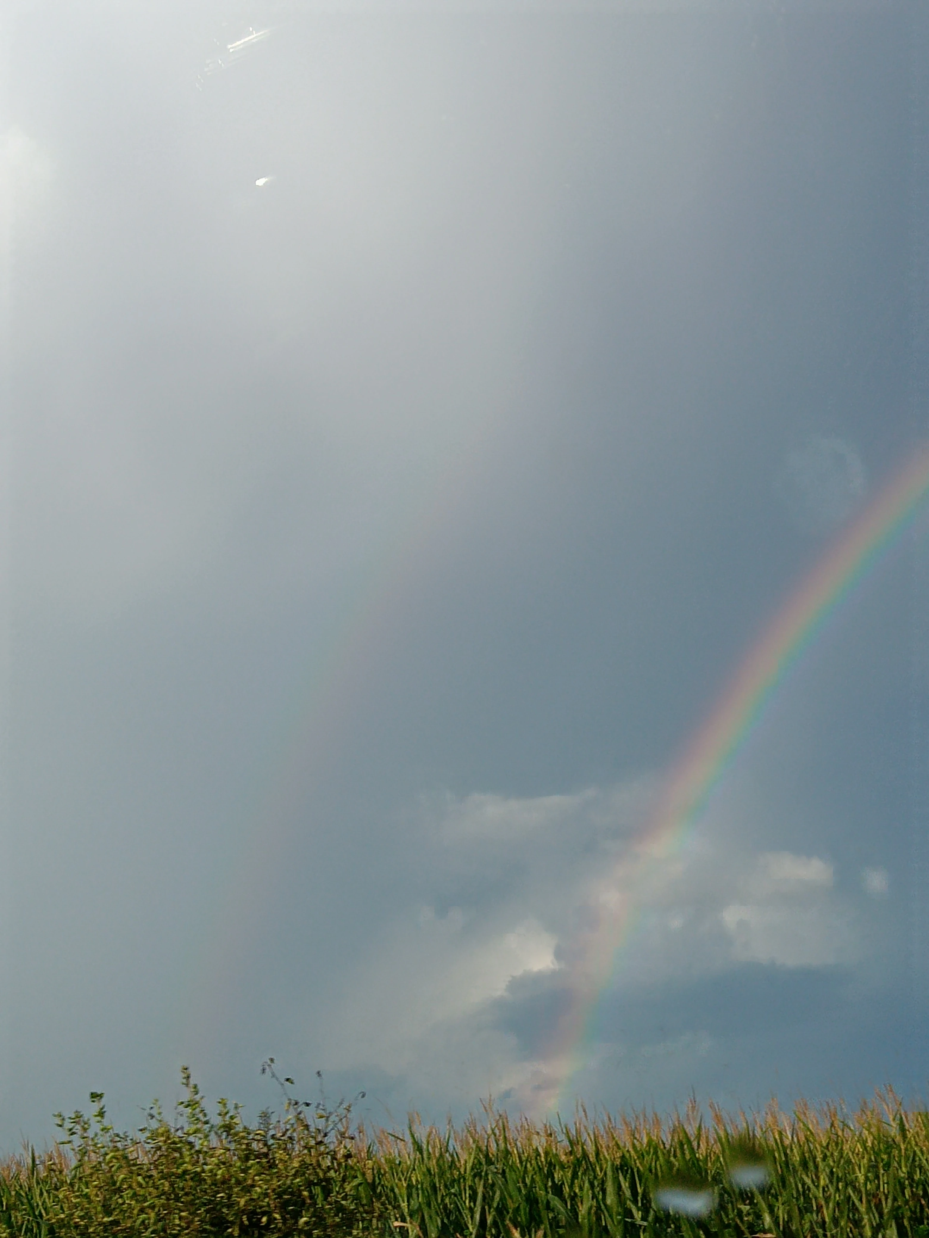 Double rainbow | Fandom