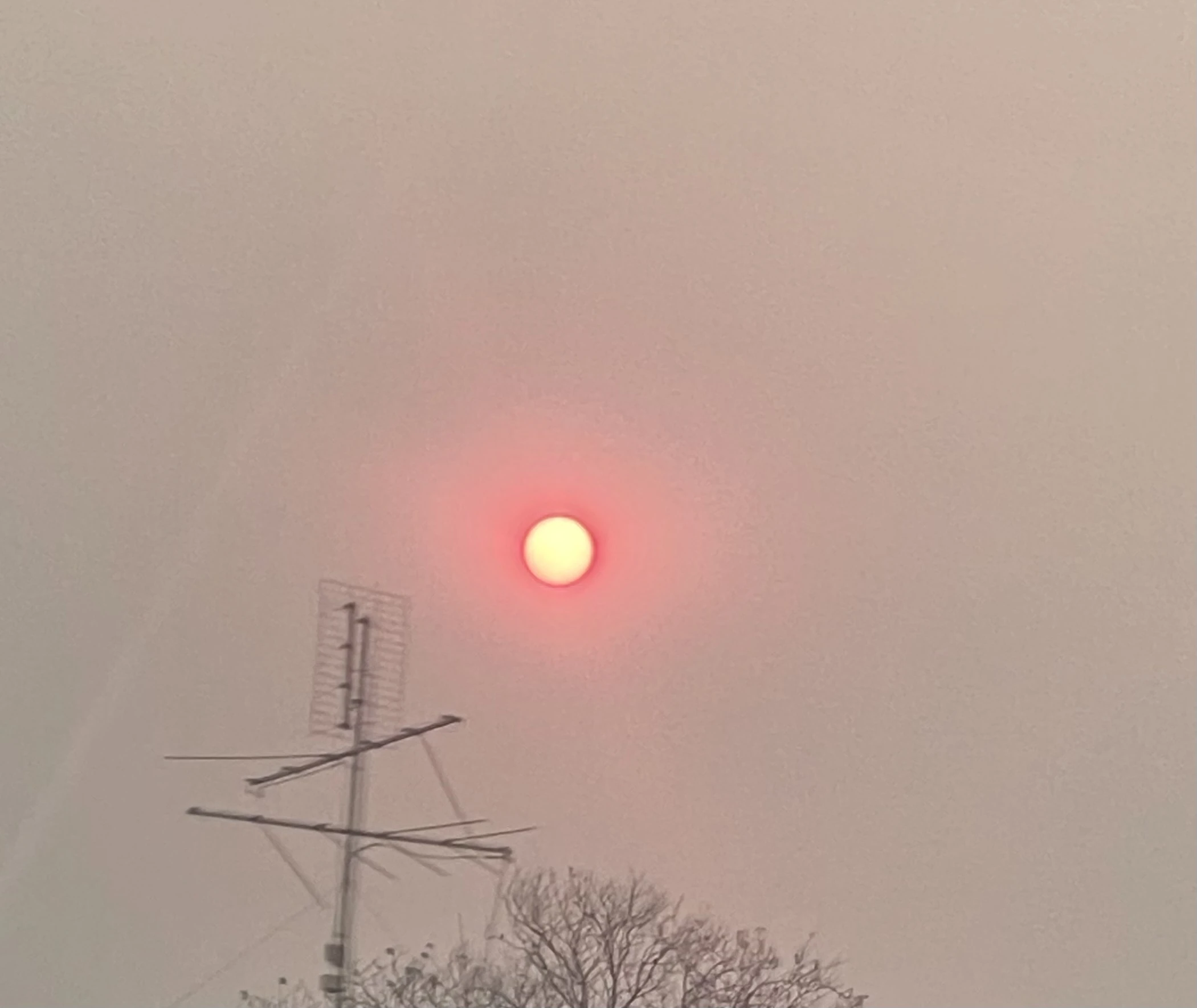 I think the solstice boss is visiting my house | Fandom