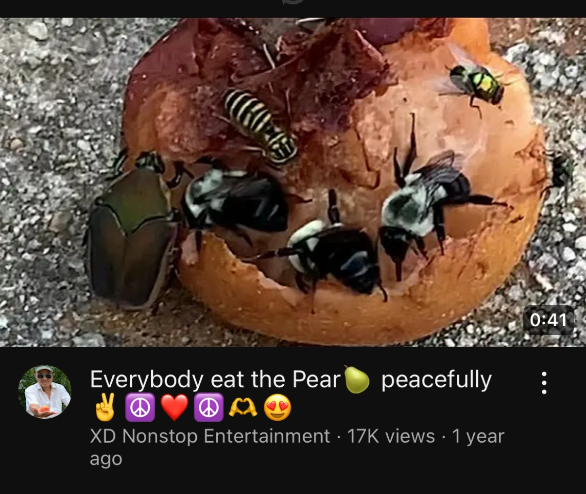 Everybody eat the Pear 🍐 peacefully ️☮️ ️☮️🫶😍 | Fandom