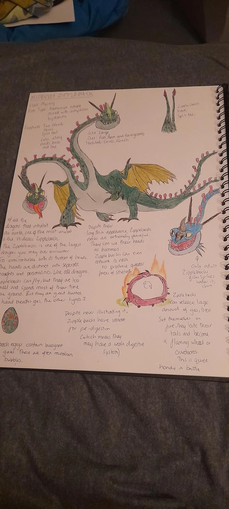 My Dragon Manual: I finally finished Mystery Class | Fandom