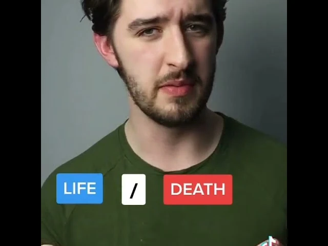 This is big brain | Fandom