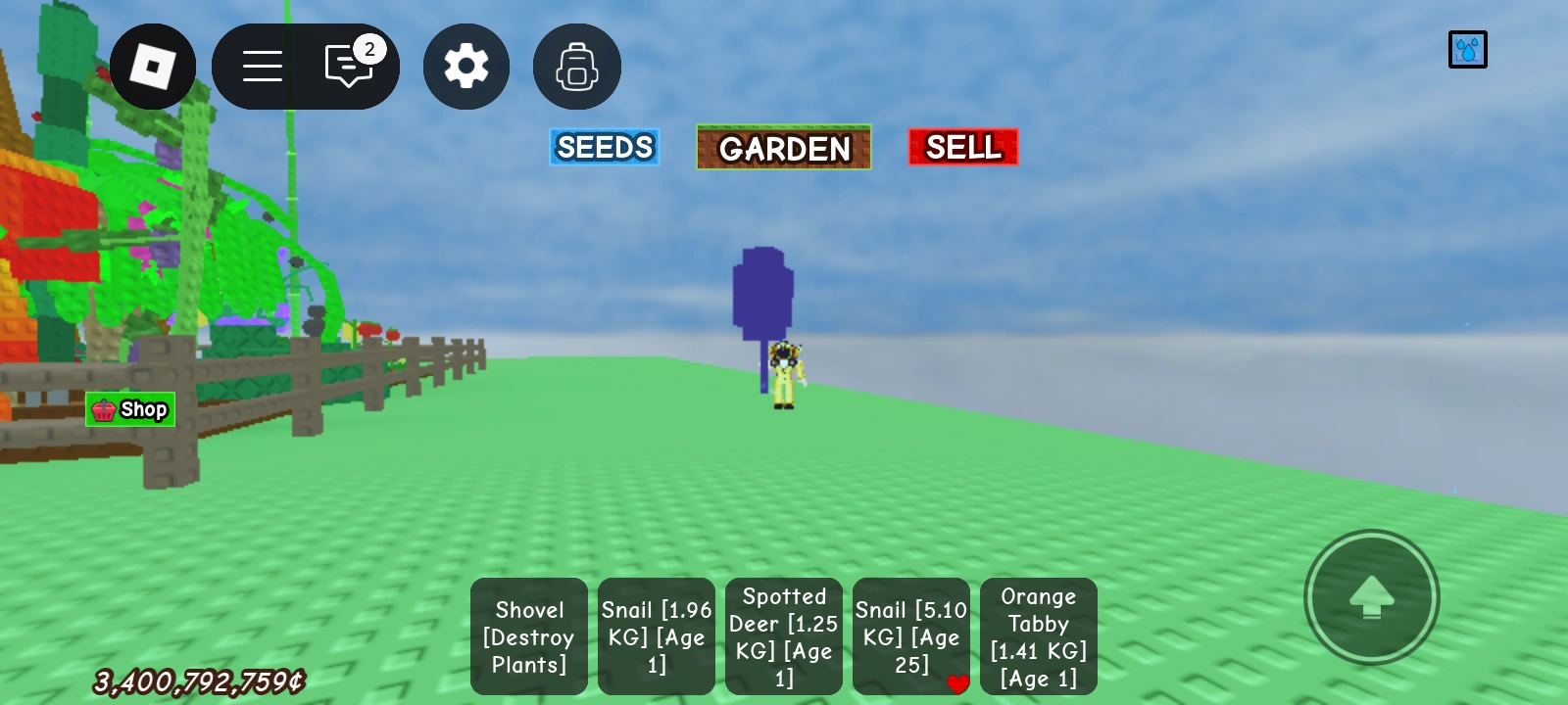 First ever Wet shocked moonlit candy blossom | Fandom