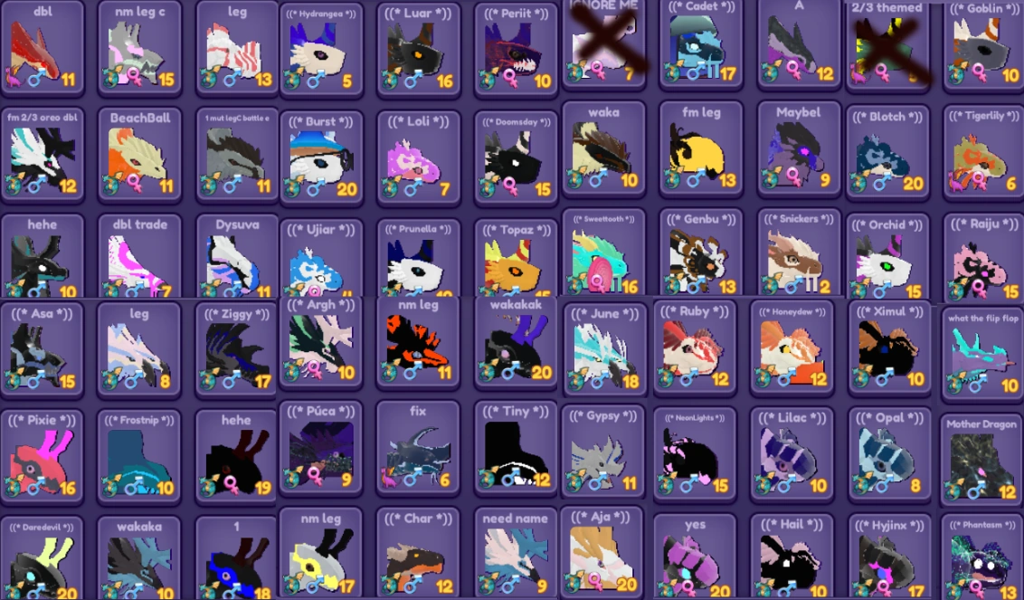 200 leg colour dragon showcase | Fandom