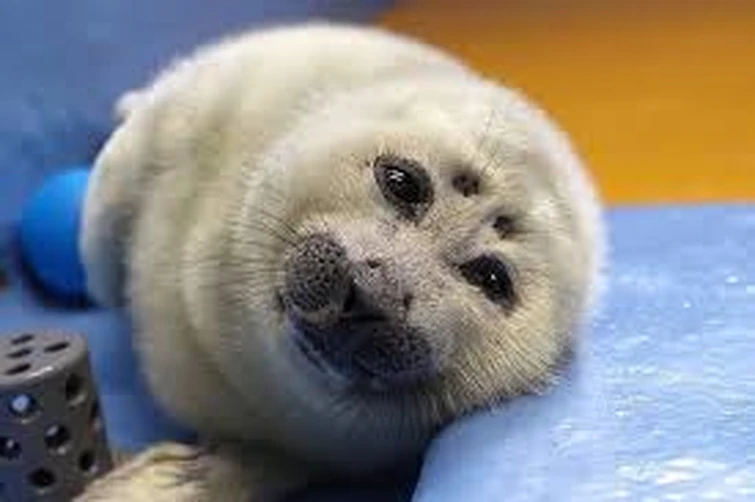 why do y'all love making me eep | Fandom