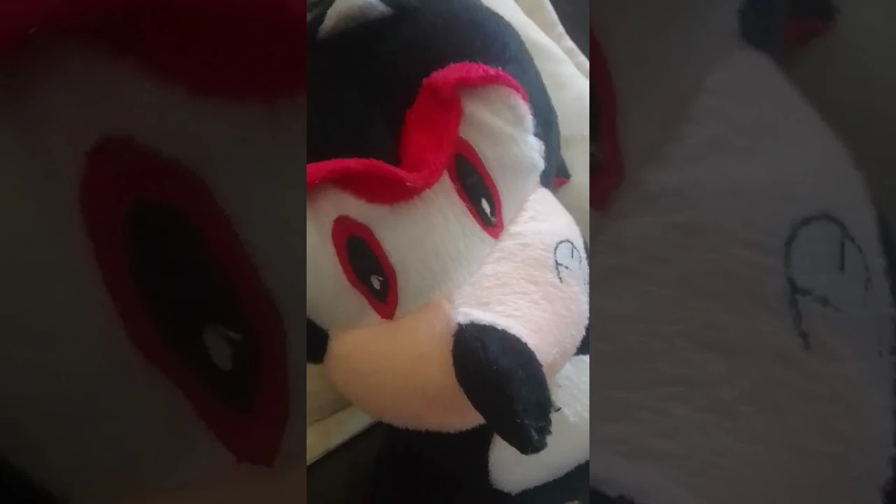 Drama in a shellnut | Fandom