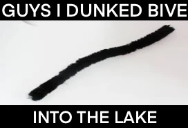 bive meme i made | Fandom