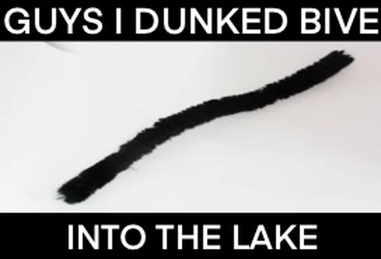 bive meme i made | Fandom