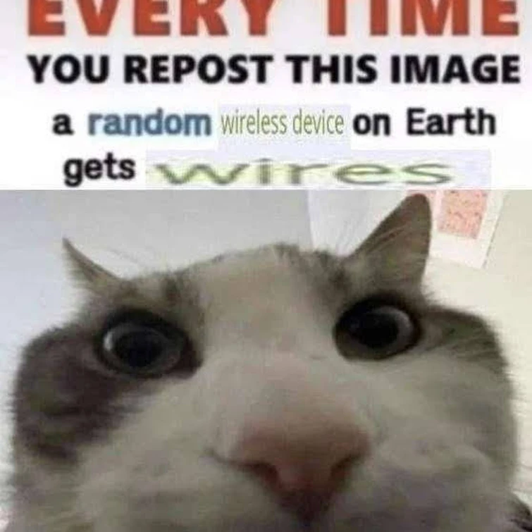 memes | Fandom
